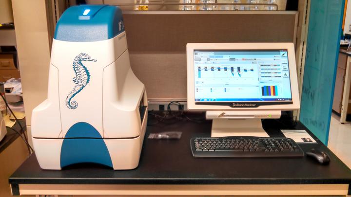 一文读懂！Seahorse数据统计分析——OCR、ECAR - 知乎