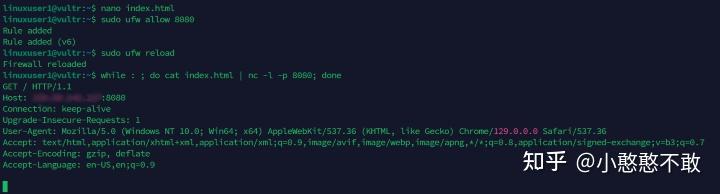 如何在 Ubuntu 上使用 nc 命令进行网络操作教程 - 知乎