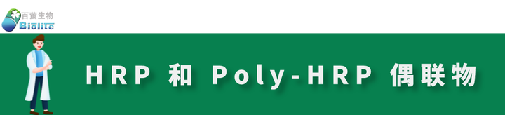 辣根过氧化物酶HRP和Poly-HRP偶联物 - 知乎