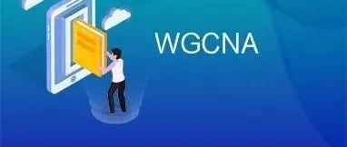 【R语言】WGCNA分析blockwiseModules函数报错 - 知乎