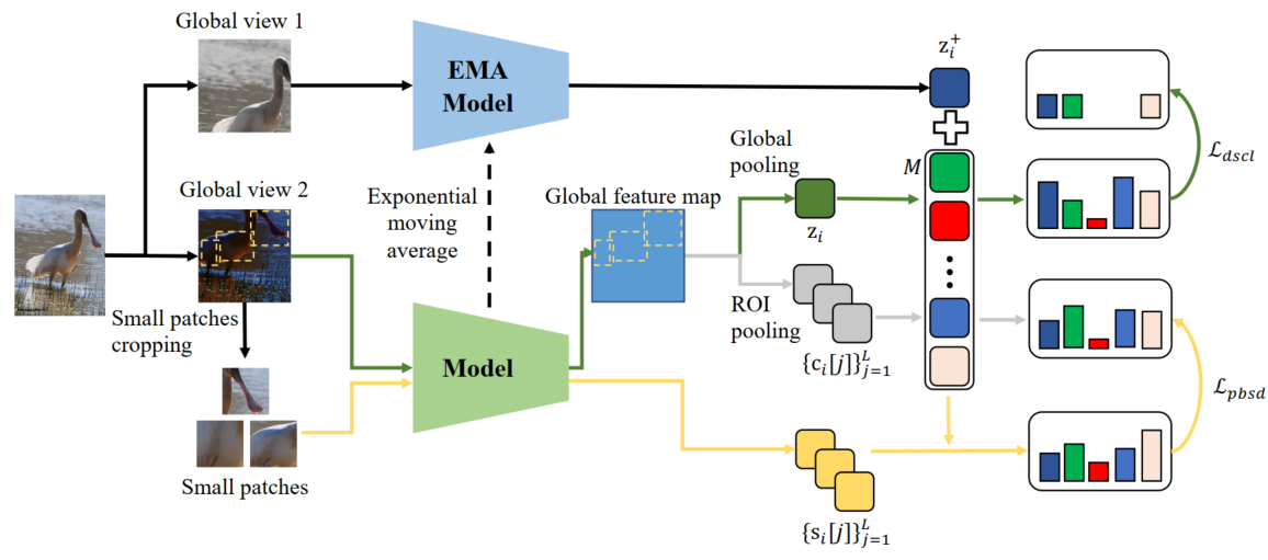 [AAAI2024] Decoupled Contrastive Learning for Long-Tailed Recognition - 知乎