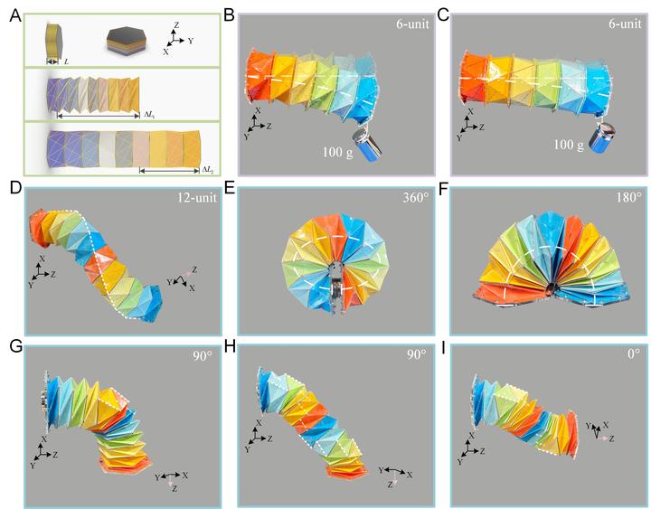 PNAS Nexus：多三角形圆柱折纸及受启发的可调刚度超材料和可伸展机械臂 - 知乎