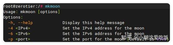 【Moon/Planet 】Docker搭建Zerotier 服务器 - 知乎