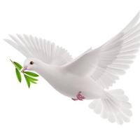 Mac——sublime配置markdown文本编辑和预览 - 知乎