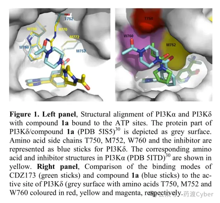 解析诺华开发的PI3Kδ抑制剂Leniolisib（CDZ173） - 知乎