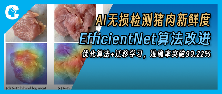 99.22%准确率！EfficientNet优化算法实现猪肉新鲜度无损快检 - 知乎