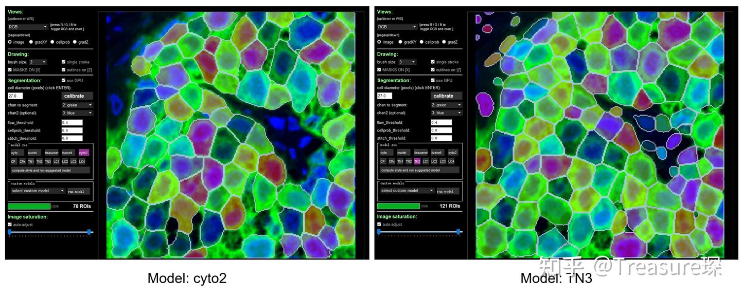 Cellpose 2.0——利用自己的数据训练模型 - 知乎
