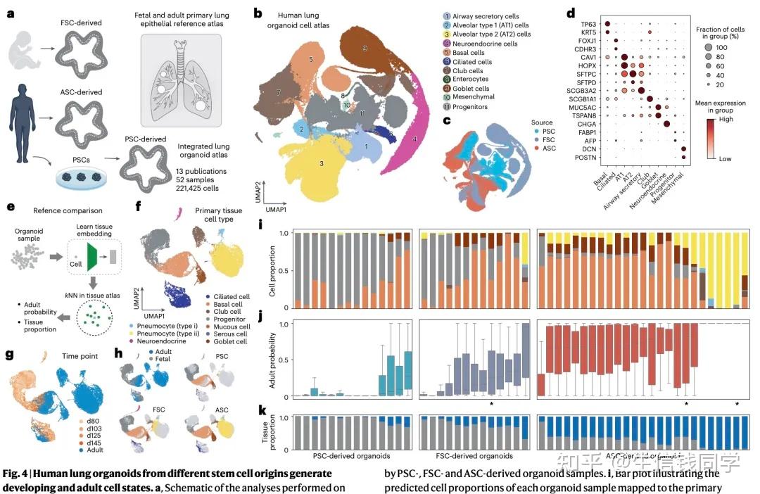 这个国外团队真强，才几个月一篇Nature，一篇Nat Genet，单细胞整合，套路几乎一样 - 知乎