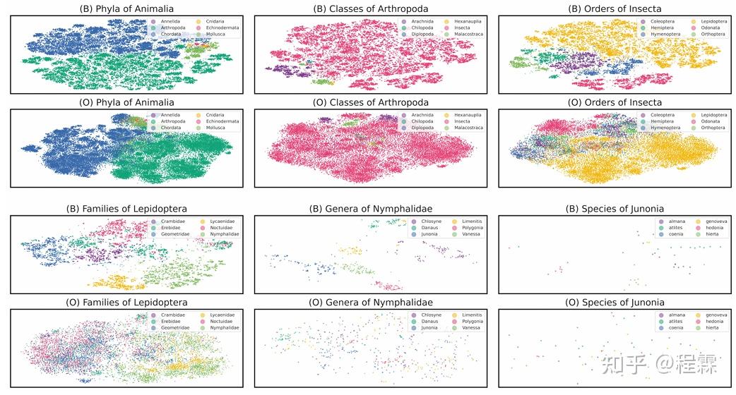 共500篇！目前全网最全的CVPR2024论文代码汇总文档！当中所有论文都包含了实现代码！ - 知乎