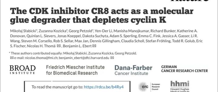 非度胺类molecular glue degrader之CR8 - 知乎