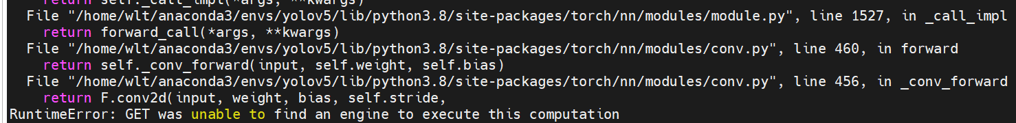 RuntimeError: GET was unable to find an engine to execute this computation - 知乎