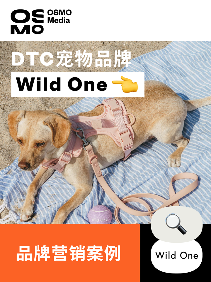 DTC宠物品牌Wild One是如何打造愉悦的爱宠体验的？ - 知乎