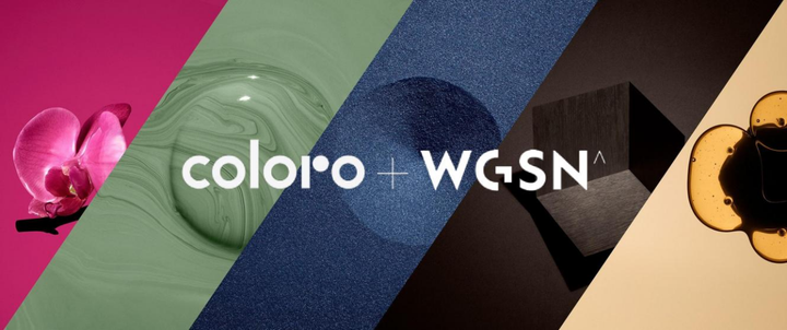 「WGSNxCOLORO」2022/23秋冬五大关键色系发布 - 知乎
