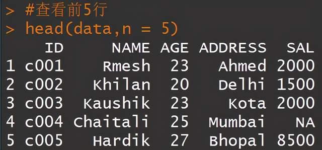 从零开始学R数据分析，数据概览 - 知乎