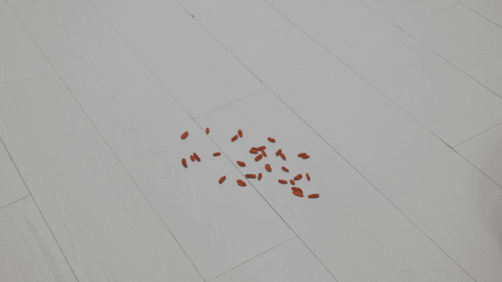 双3DTof传感器+伸缩臂，石头G30 U如何用黑科技征服清洁痛点的？ - 知乎