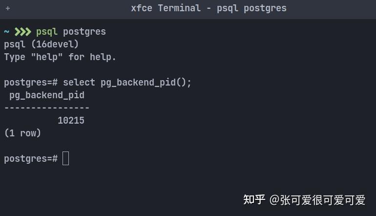 使用Clion调试postgresql源码 - 知乎