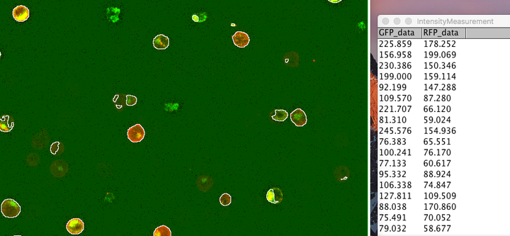 Segmentation ImageJ Scripting入门练习 - 知乎
