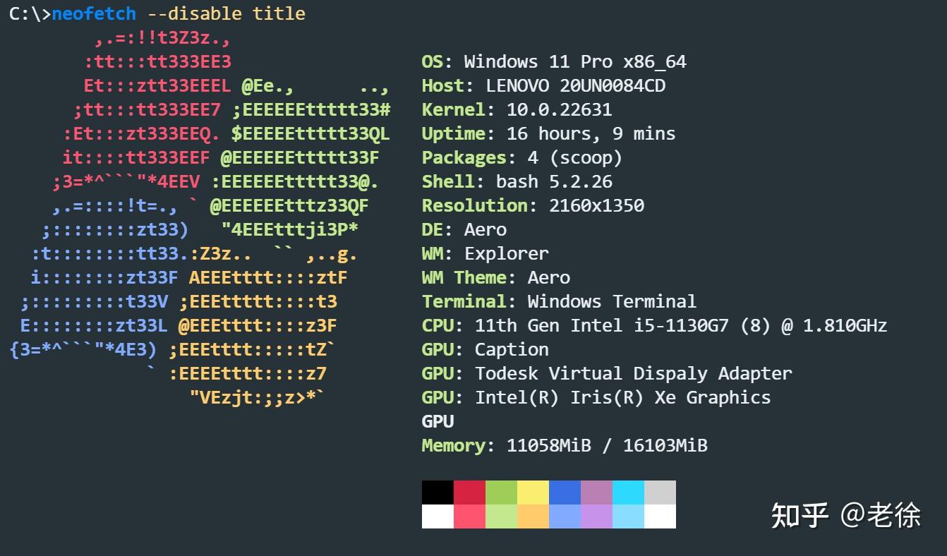 Windows版neofetch - 知乎