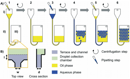 可能导致流产，早产的细菌被ddRPA快速检测 - 知乎