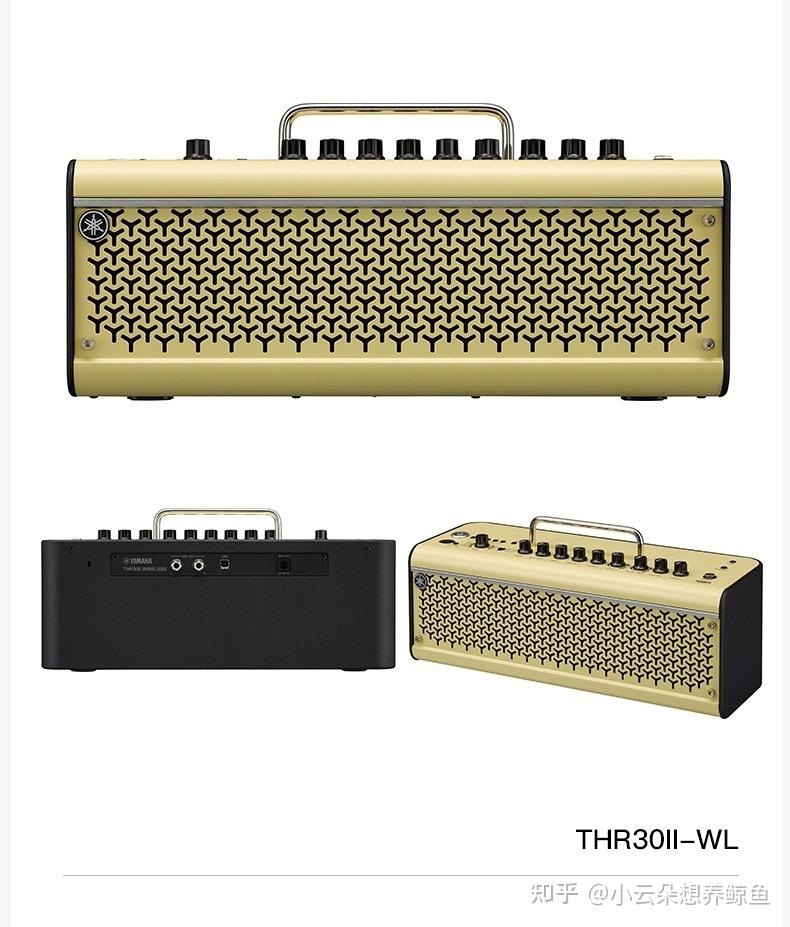 新手买THR10还是THR30? - 知乎