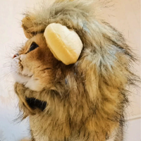 如何解决 pyglet.gl.ContextException: Could not create GL context - 知乎