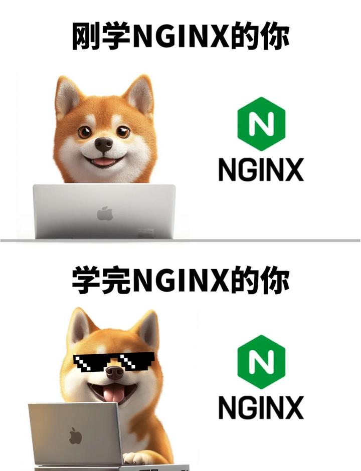 Nginx Rewrite重写 - 知乎