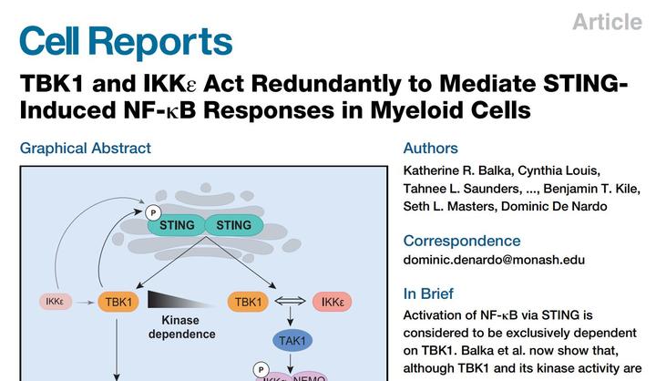 期刊高引论文专栏-Cell Reports | 免疫细胞cGAS/STING信号通路的重定义 - 知乎
