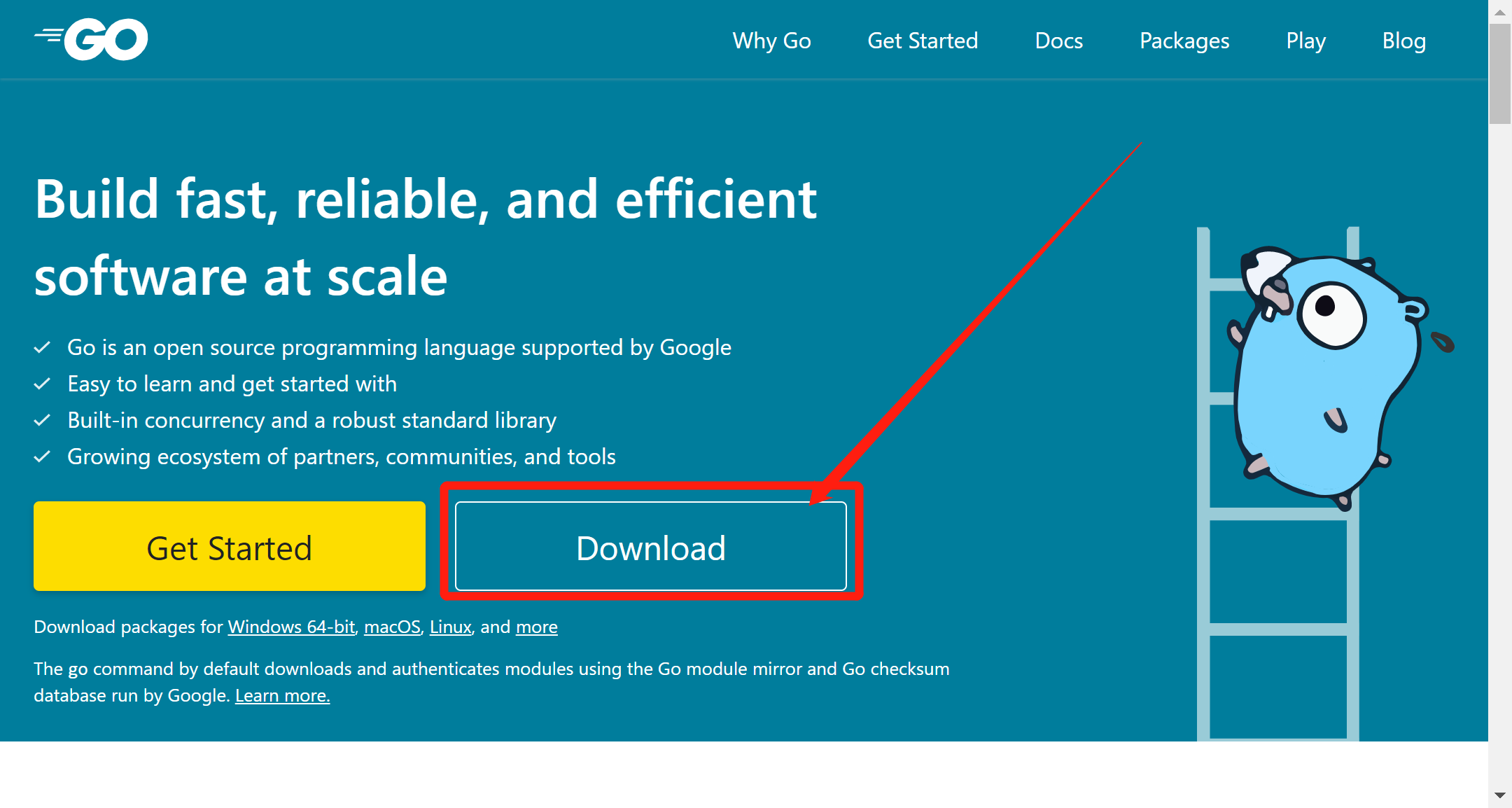 go的安装和卸载（windows） - 知乎