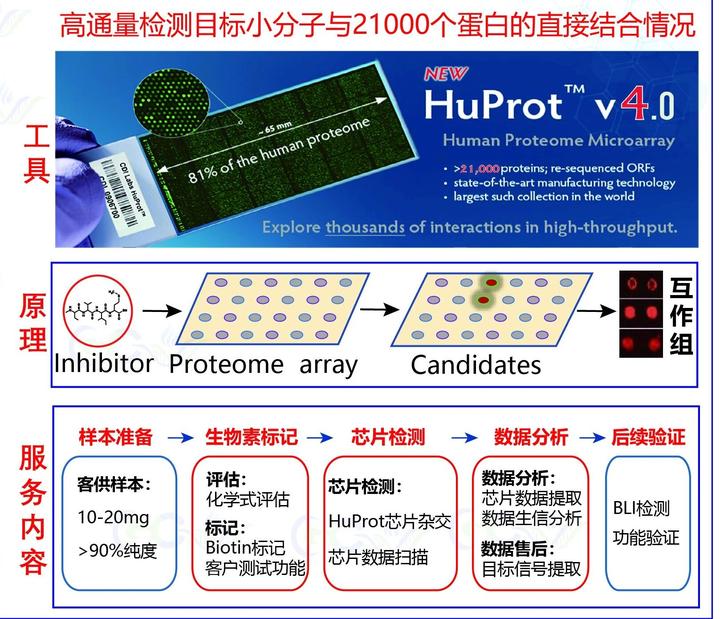 药靶开发|《Adv Sci》解读：HuProt™蛋白芯片筛选抗癌化合物结合蛋白！冬凌草乙素稳定KEAP1-PGAM5抑制肝癌进展 - 知乎