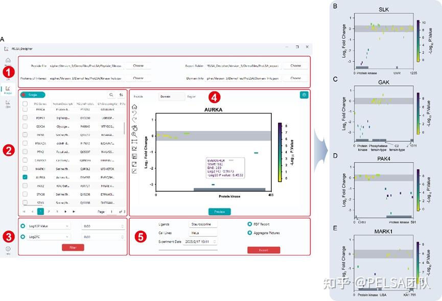 PELSA-Decipher：PELSA靶蛋白质鉴定方法的专用数据处理软件发布 - 知乎