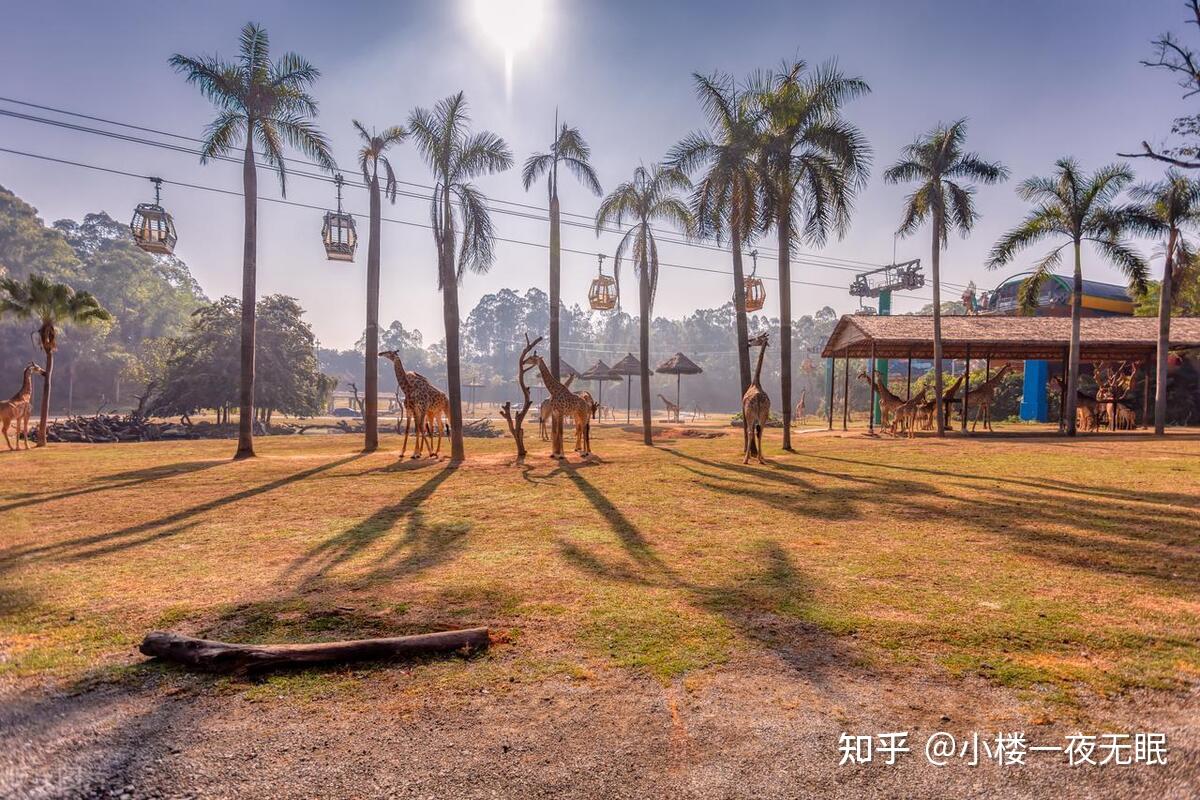 广州长隆旅游度假区超全攻略 | 玩转五大园区+隐藏玩法！ - 知乎