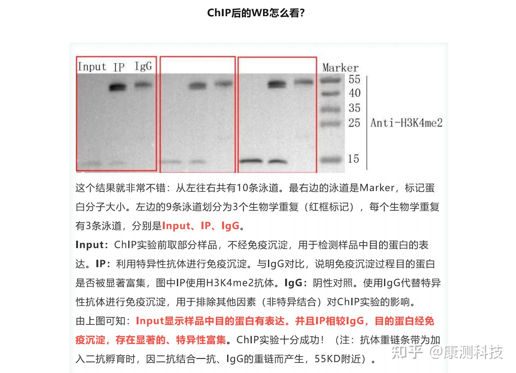 一文讲明白ChIP-seq：高分文章里为什么做ChIP-seq? - 知乎