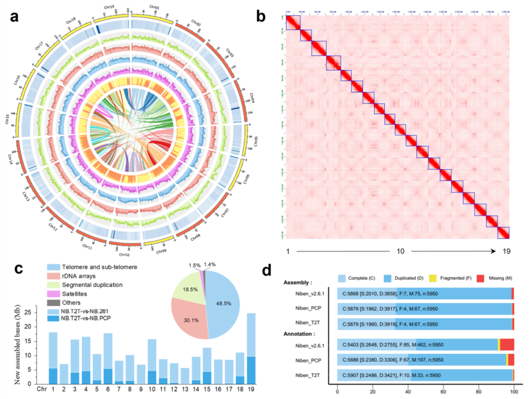 T2T基因组新突破：从小基因组到大基因组的跨越 - 知乎