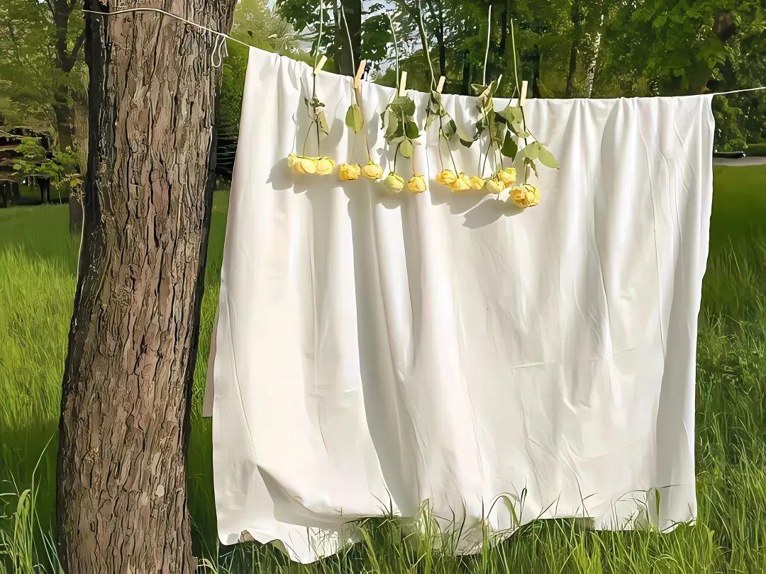 java 中 List 怎么转为 ArrayList ？ - 知乎