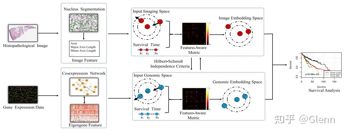 [论文阅读][速览] TMI | Volume 42（September 2023，Issue 9） - 知乎