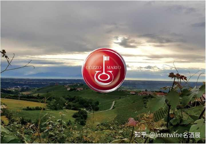 【Interwine 巡展】意式文化传播者——VITAE-意塔 - 知乎