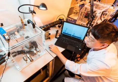 【香港城大HK Tech 300创新故事绘】i²Cool创冷科技：源自蚂蚁的被动式辐射制冷“黑科技”，实现环保降温零碳排放 - 知乎