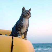 错误解决：php_network_getaddresses: getaddrinfo failed: Name or service not known - 知乎