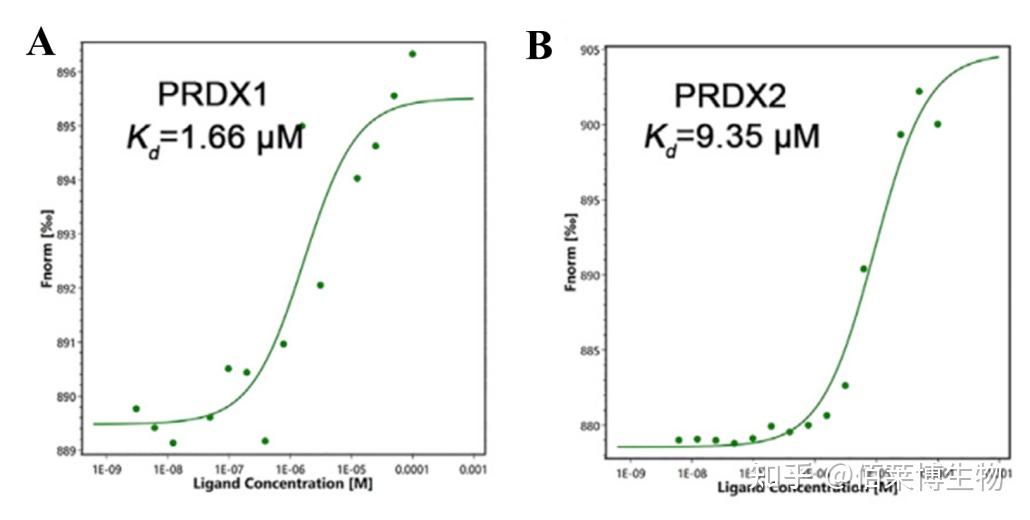 蛋白与药物互作专题八：免纯化微量热泳动 (MST) 和细胞热迁移 (CETSA) 在分子互作中的应用 - 知乎