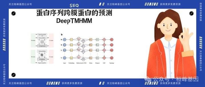 SEQ 9. α-螺旋和 β-桶跨膜蛋白的预测(DeepTMHMM) - 知乎