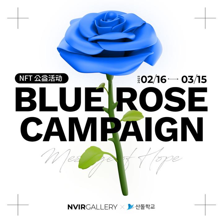 💙'BLUE ROSE' NFT 公益活动💙 - 知乎