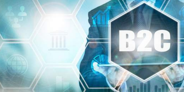 赛维时代专题报告：B2C跨境电商龙头，品牌化转型未完待续 - 知乎