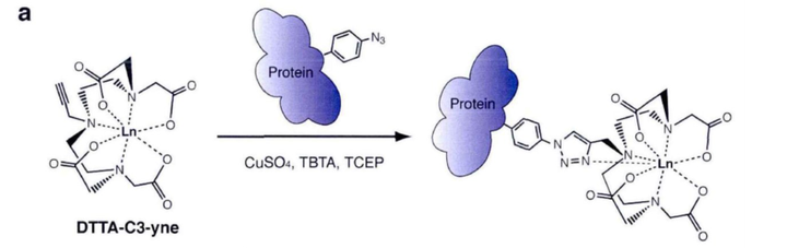 关于2个刚性双功能螯合物参与点击化学修饰顺磁探针DTTA-C3 /DTTA-C4 - 知乎
