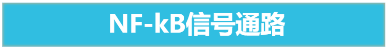 一文纵览 | NF-κB在各类淋巴瘤中的异常激活及靶向治疗！ - 知乎