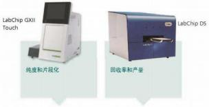 LabChip GXII Touch-贯穿蛋白研发流程的快速分析 - 知乎