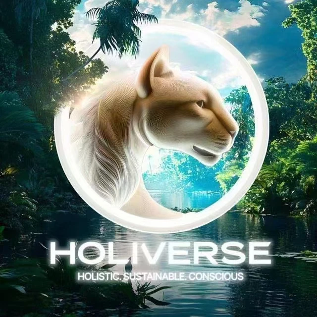 揭秘:holiverse制度模式详细解读 - 知乎