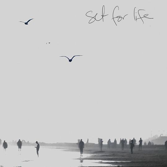 Set For Life(翻译版） - 知乎