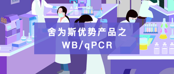 优势产品介绍------WB/qPCR - 知乎