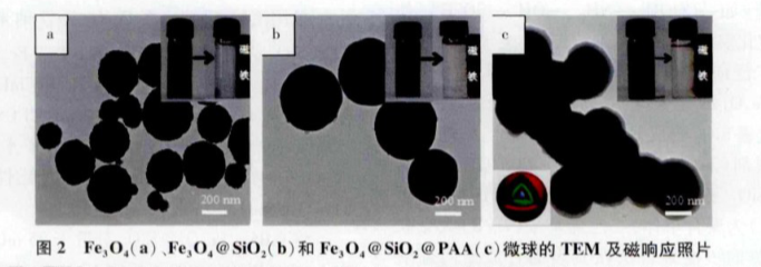 多层核-壳结构Fe3O4@SiO2@PAA（100nm），复合微球的合成实验 - 知乎