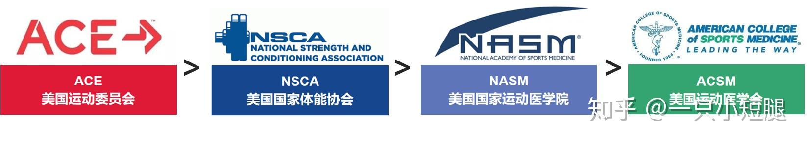 四大证中NSCA和ACE怎么选呢? - 知乎